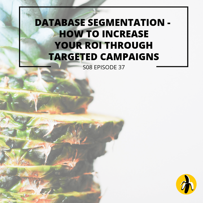 S08 EPISODE 37: Database Segmentation – How to increase your ROI ...