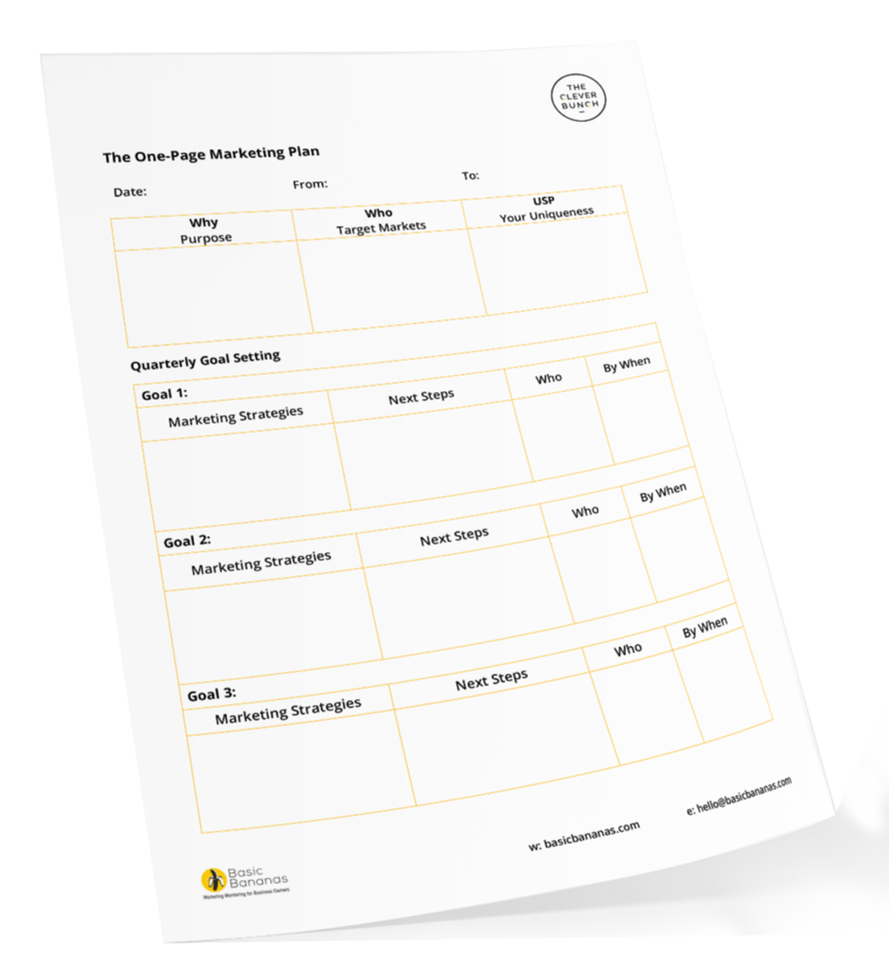 Small business marketing mentoring Australia| Basic Bananas